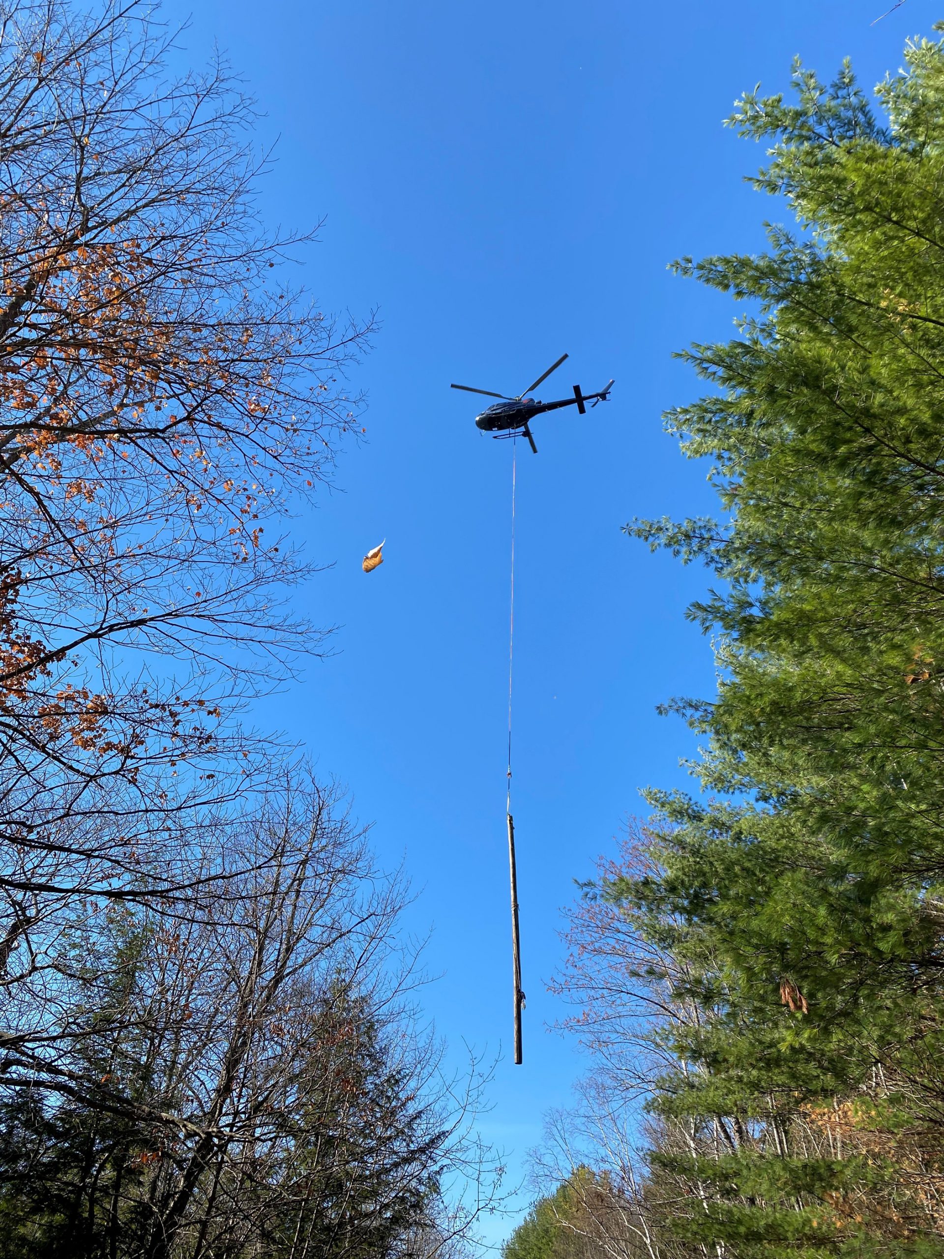 Line Trap Insulator - ICONIC